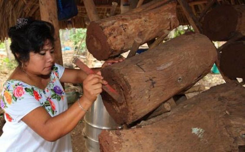 Ancient Mayan Beekeeping – Bee The Change