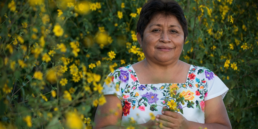 Indigenous Maya Beekeepers Saving Local Communities – Bee The Change